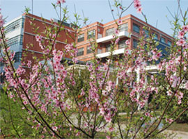 Hubei Polytechnic University